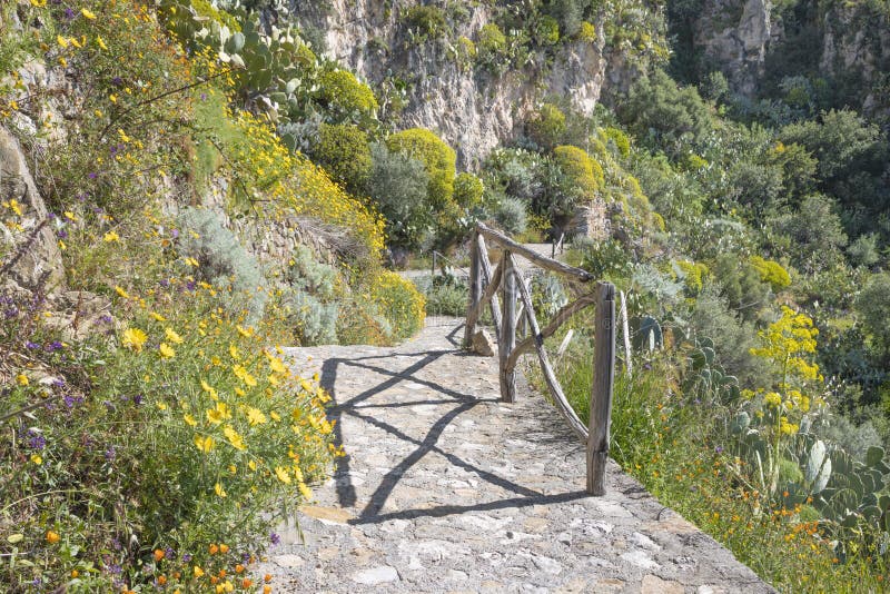 Taormina - the Path among the Spring Mediterranean Flowers Stock Photo ...