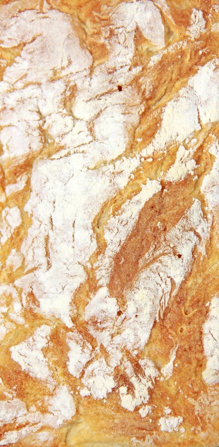 Tapa del pan imagen de archivo. Imagen de alimento, fresco - 16695709