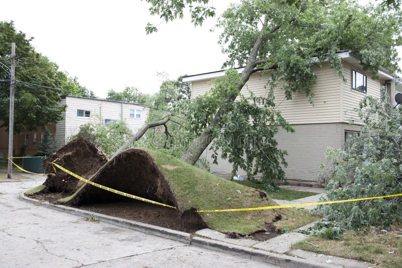 Taped Off stock image. Image of branches, disaster, emergency - 42905287