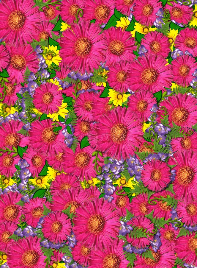 Textura De Papel Com Belas Flores Cor-de-rosa Foto de Stock - Imagem de ...