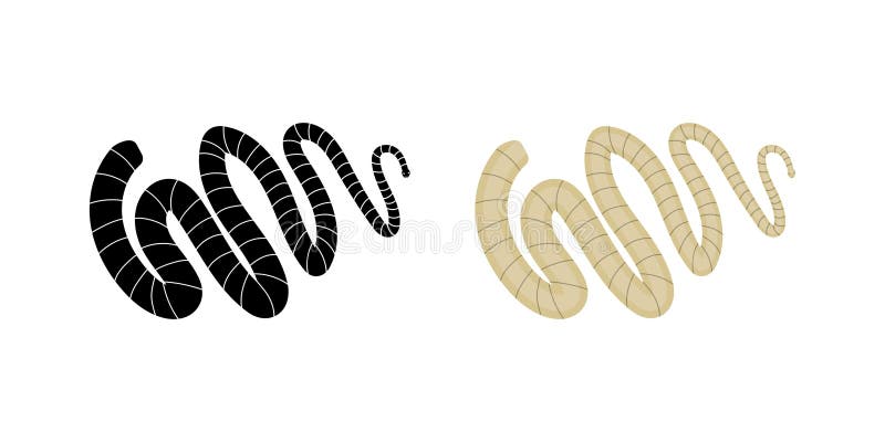 Tapeworm, Segmented Flatworm, Intestinal Parasite Causing Infection ...