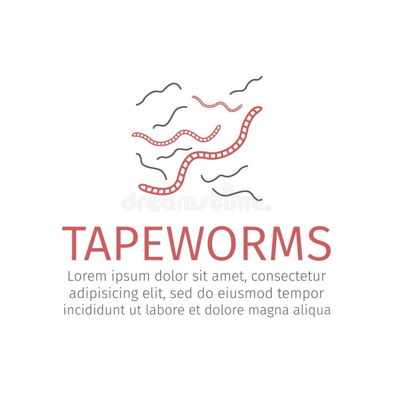 Tapeworms stock vector. Illustration of platyhelminths - 97508103