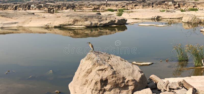 Tapi River Geological Structure Rocks Stock Image - Image of sand ...