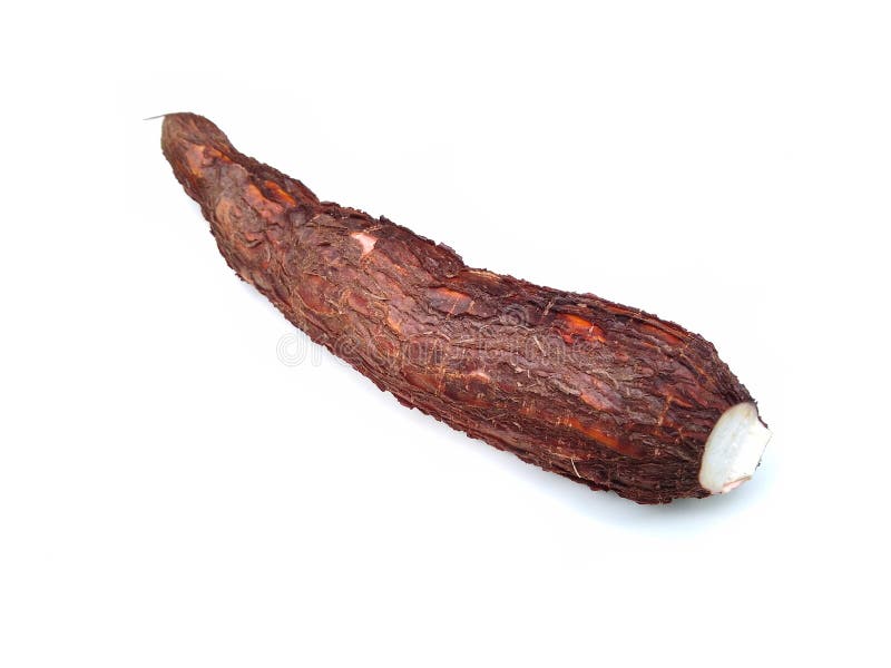 Tapioca (cassava Tuber) Isolated on White Background Stock Photo ...