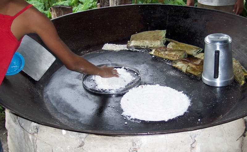 Tapioca stock image. Image of jungle, north, amazonas - 35128109