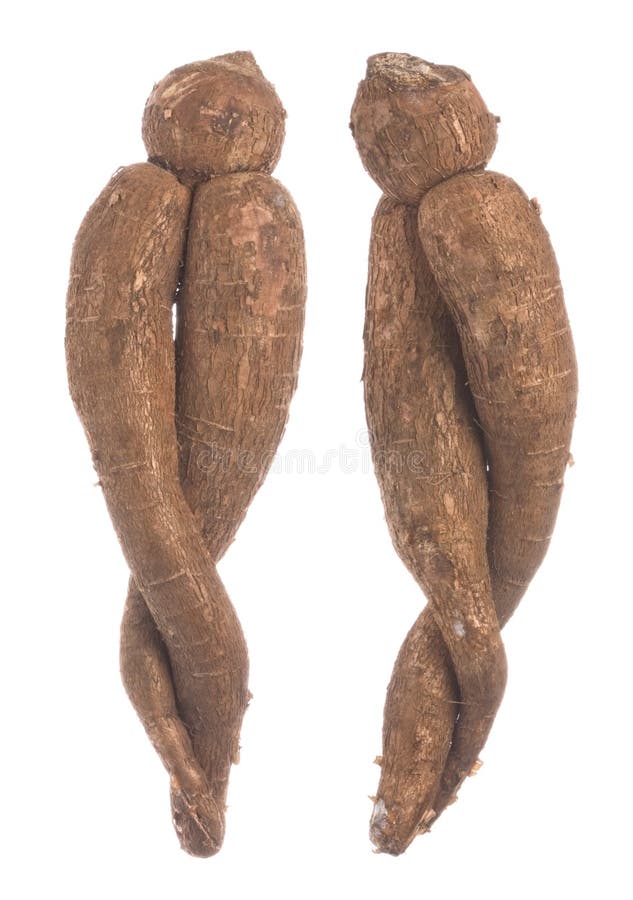 Tapioca Isolated stock image. Image of nutritious, food - 9721725