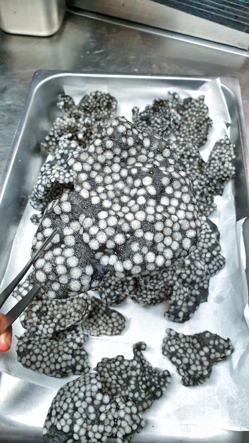 Tapioca Pearls Squid Ink Chips, Fried after Dehidrated for 8 Hour Stock ...