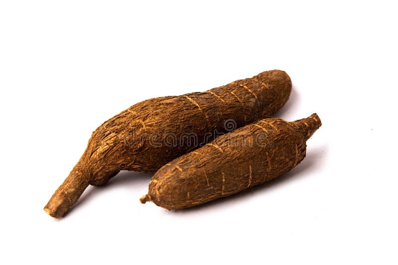 Tapioca Root on White Background Isolated Stock Image - Image of ...