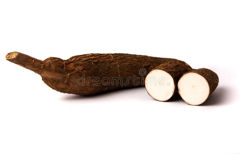Tapioca Root on White Background Isolated Stock Image - Image of brown ...