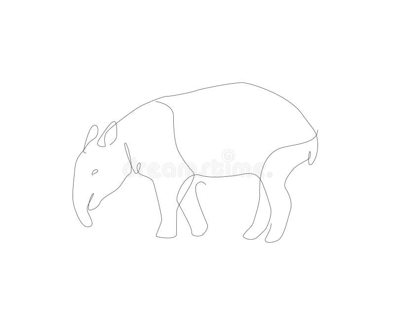 Tapir Line Art Illustration. Unusual Animal Vector Outline. Stock ...