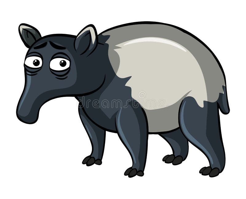 Anteater on White Background Stock Vector - Illustration of angry ...