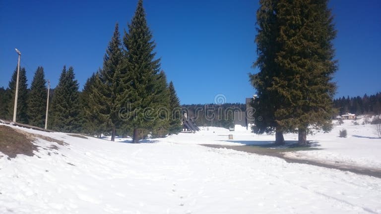 Tara foto de stock. Imagem de nave, tara, parque, estrada - 119695244