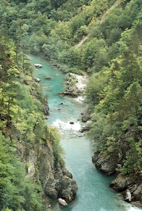 Tara River Canyon in Montenegro Stock Photo - Image of canyon, forest ...
