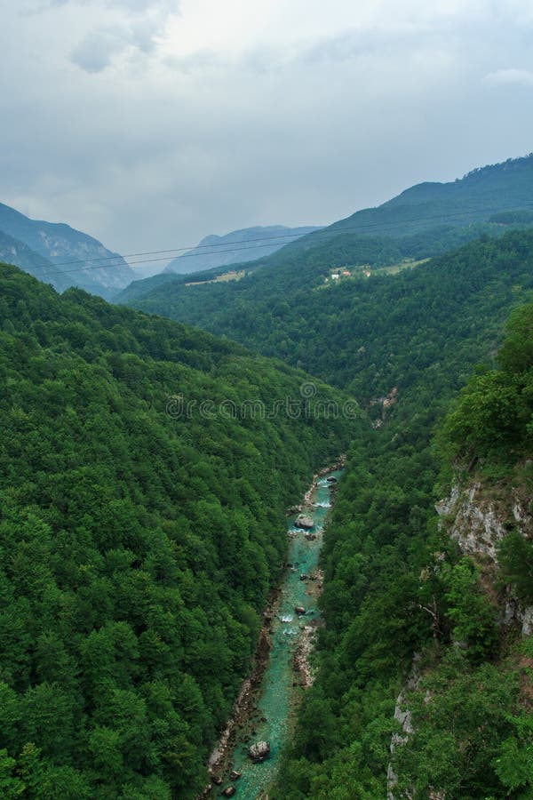 Tara River Canyon. Montenegro. Stock Photo - Image of nice, travel ...