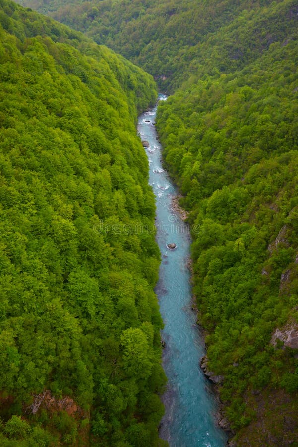Tara River Canyon stock photo. Image of rift, purgatory - 49784012