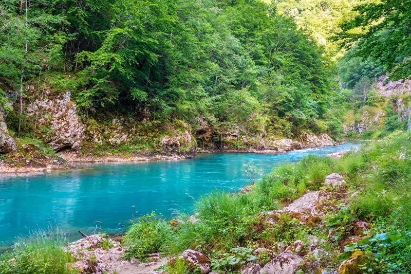 Tara River Canyon or Tara River Gorge Located between High Mountains ...