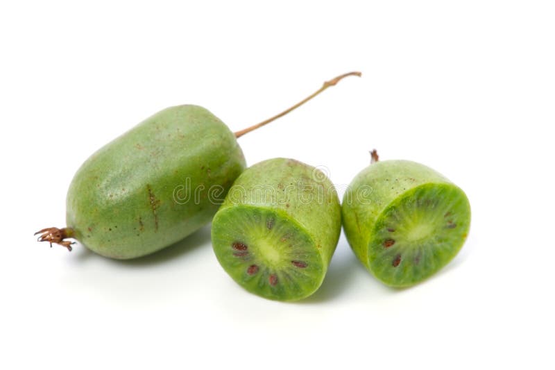 Tara vine stock photo. Image of fruitage, kiwi, health - 27371898