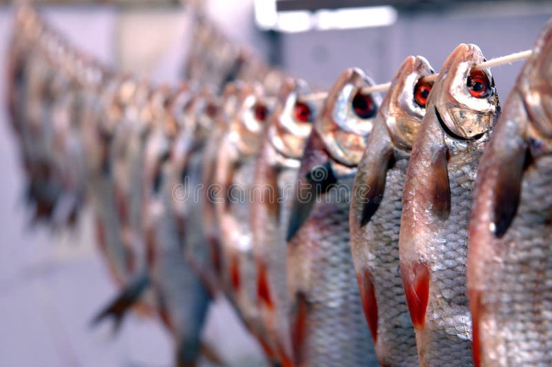 Taranka stock image. Image of style, creative, amount - 7957245