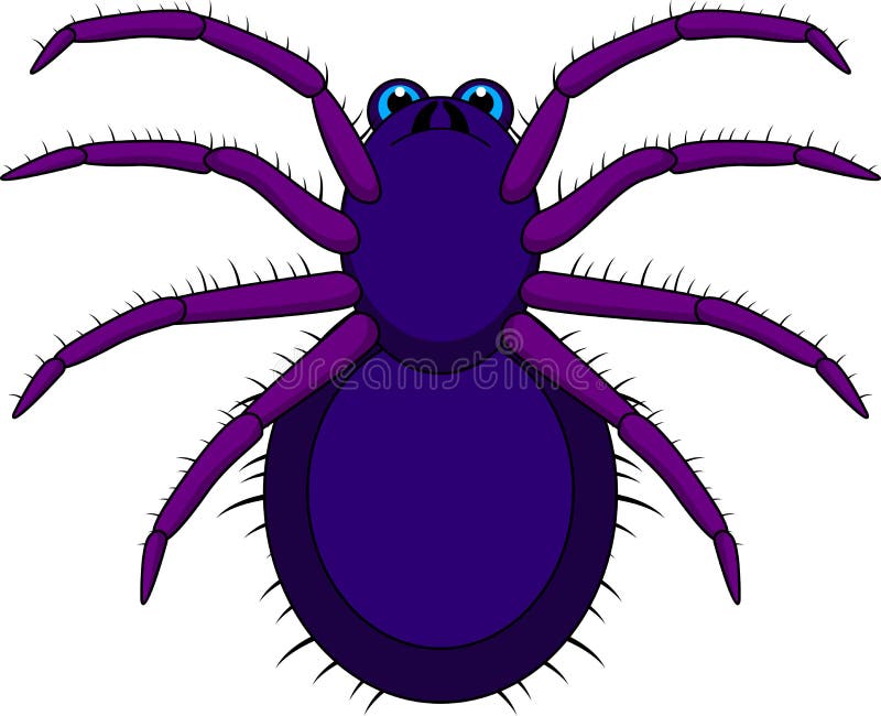 Fangs Tarantula Stock Illustrations – 70 Fangs Tarantula Stock ...