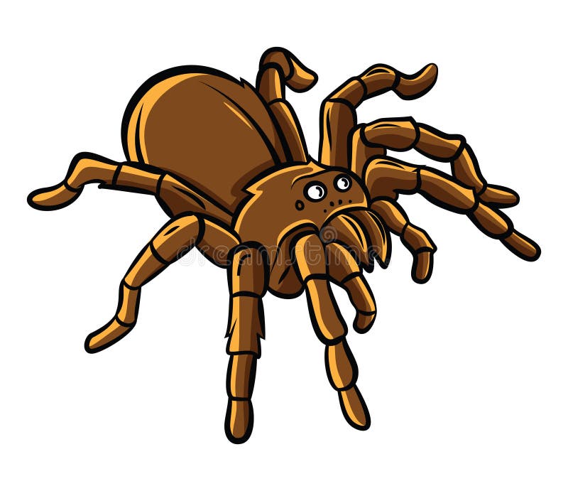 Tarantula Stock Illustrations – 8,889 Tarantula Stock Illustrations ...