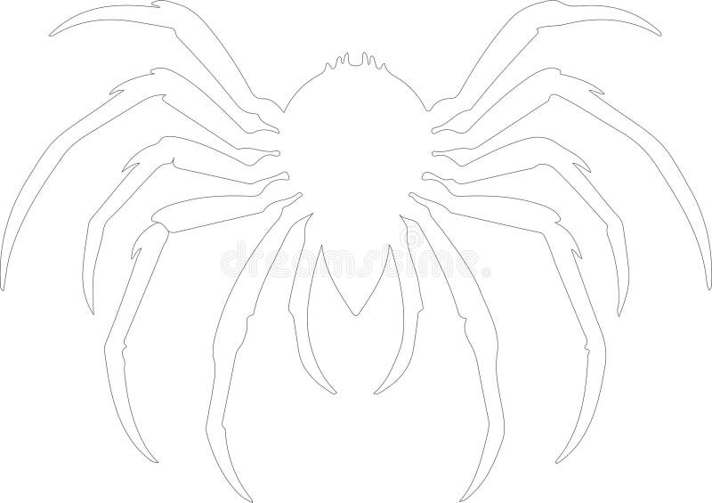 Tarantula Silhouette Stock Illustrations – 5,039 Tarantula Silhouette ...