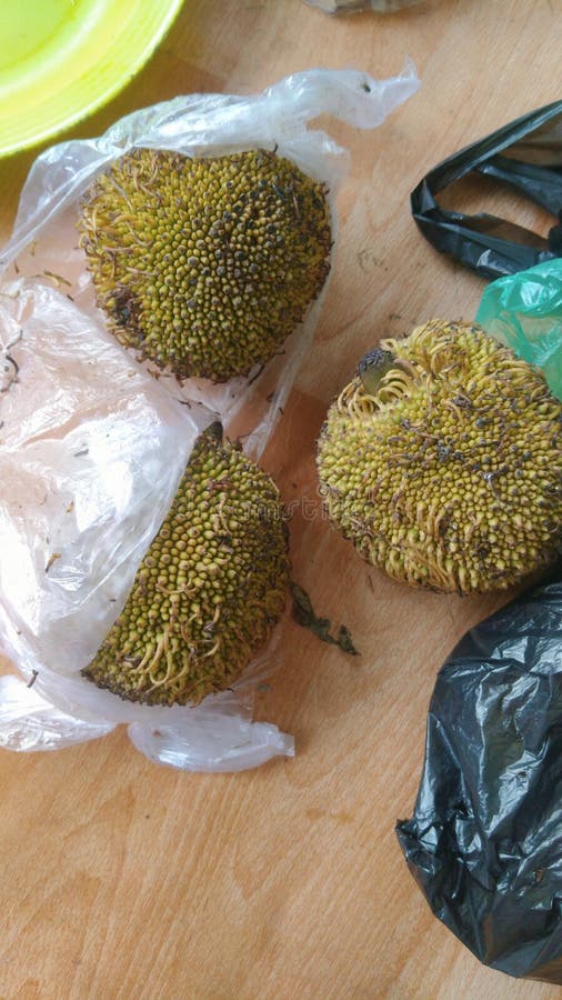 Tarap is Native Fruit To Borneo Island, and is Closely Related To the ...