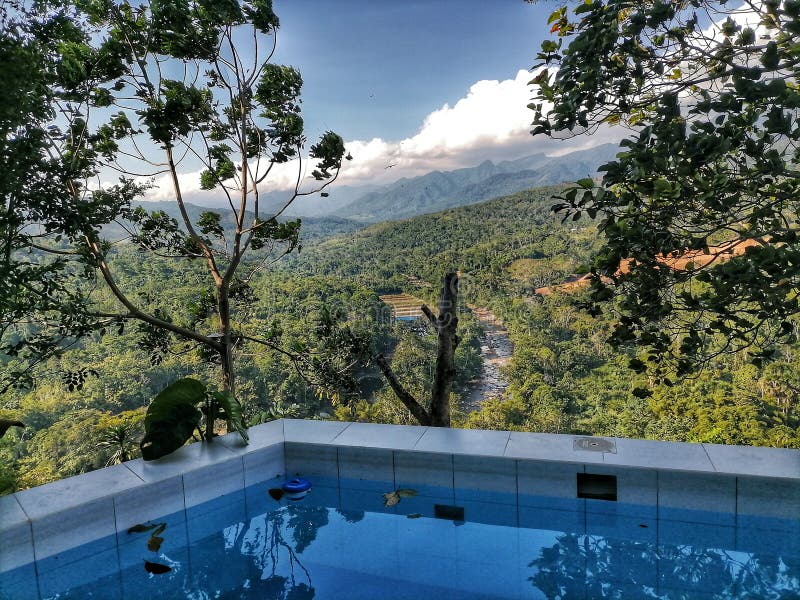 Tarapoto Panoramic of the Jungle and Pool. San Martin, Peru Stock Image ...