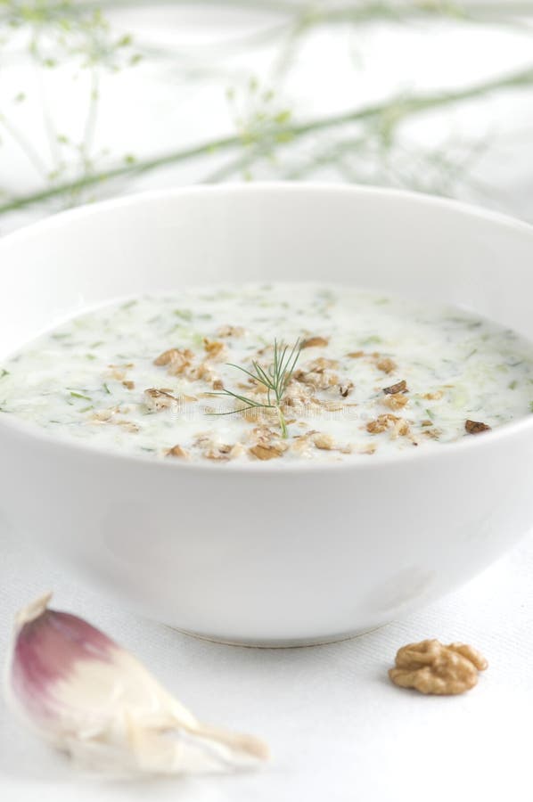 Tarator stock photo. Image of fresh, yoghurt, bowl, garlic - 17110812