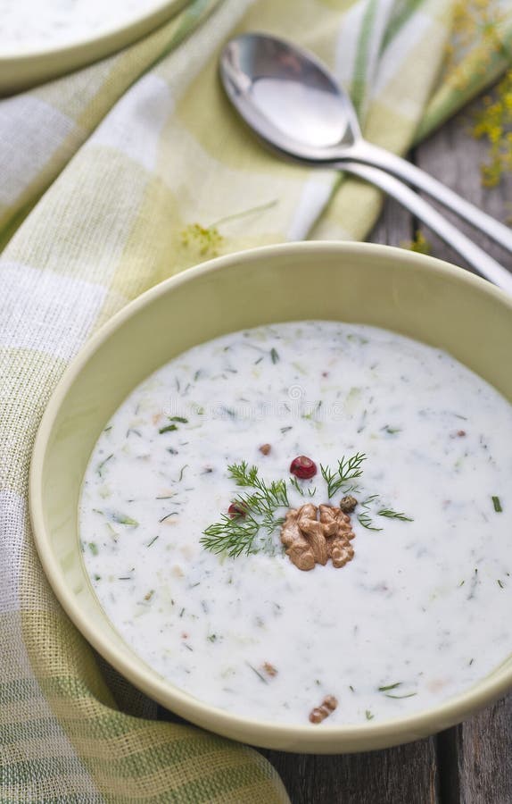 Tarator stock image. Image of closeup, cold, bulgarian - 25571617