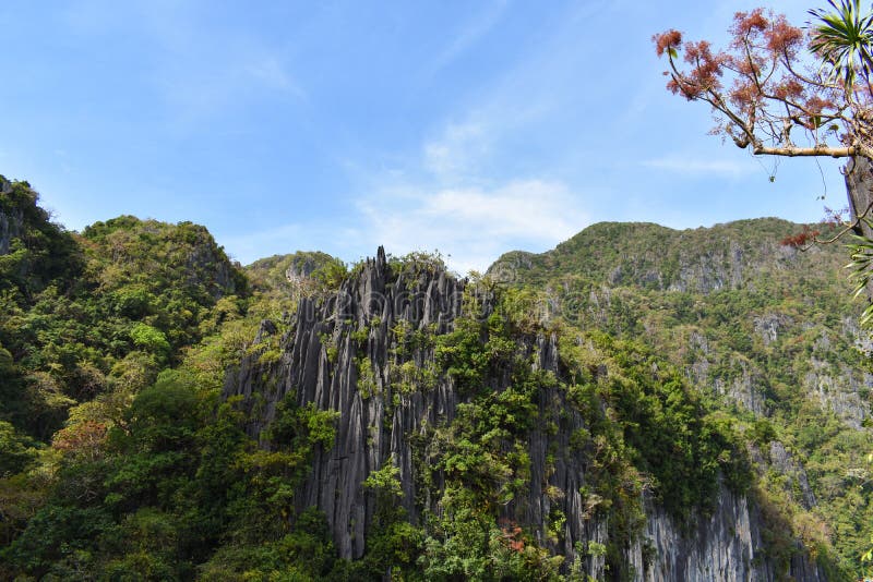 Taraw Cliff in El Nido, Palawan Stock Image - Image of philippines ...