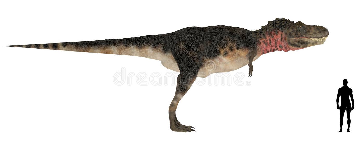 Dinosaur Tarbosaurus Stock Illustrations – 216 Dinosaur Tarbosaurus ...