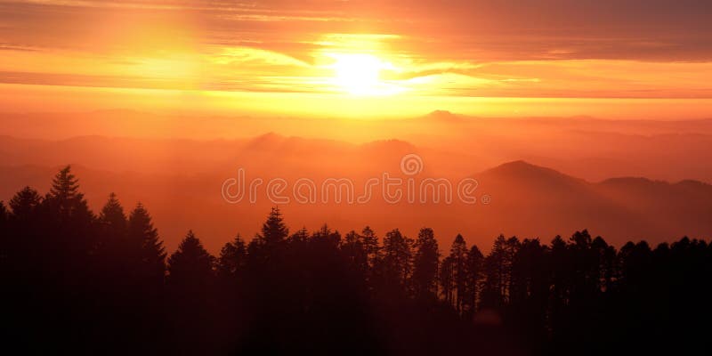 Tarde imagen de archivo. Imagen de rango, willamette - 68542085