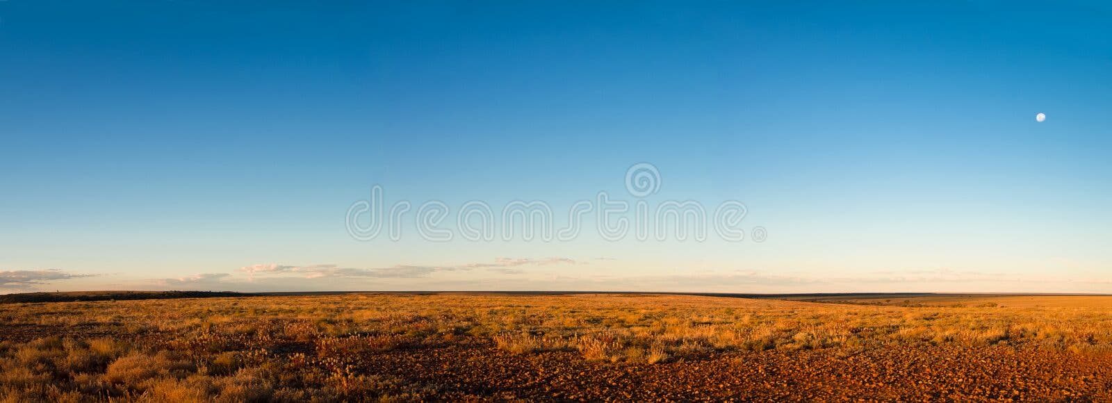 Llanuras De Madera Alrededor De Australia Meridional. Imagen de archivo ...