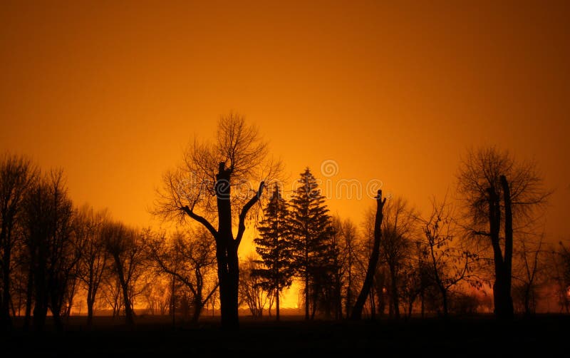 Tarde Tranquila En Parque En La Puesta Del Sol Foto de archivo - Imagen ...