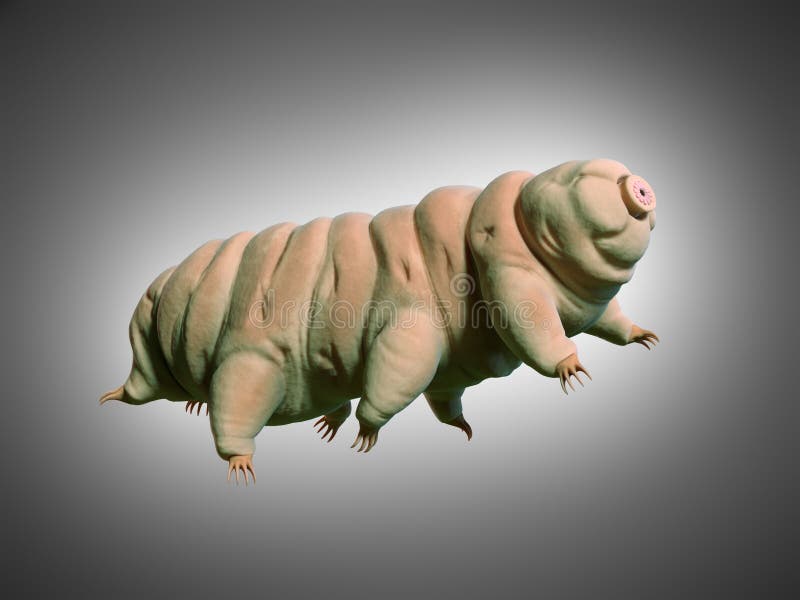 Tardigrade Stock Illustrations – 110 Tardigrade Stock Illustrations ...
