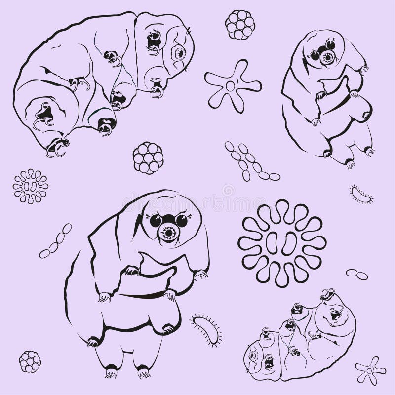Cartoon Tardigrades Stock Illustrations – 20 Cartoon Tardigrades Stock ...