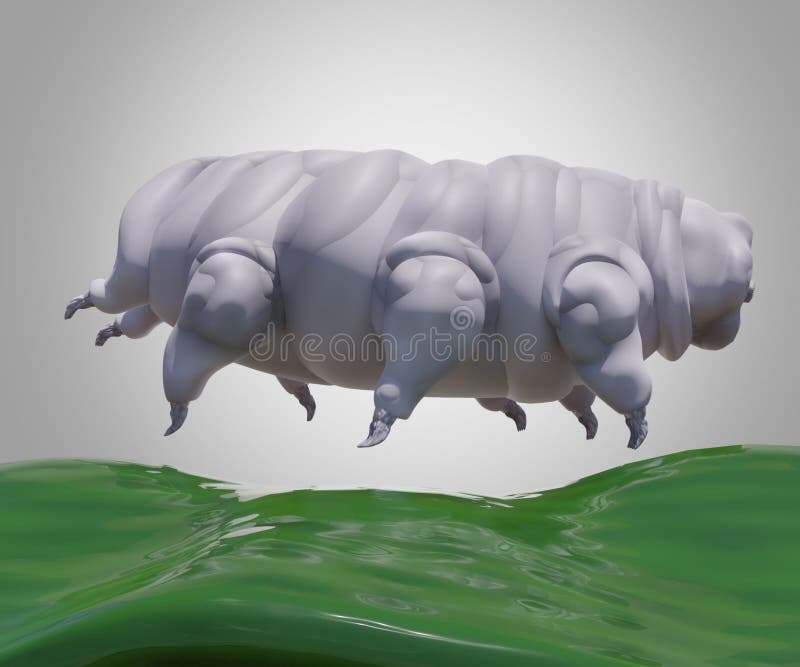Tardigrade Known As Water Bear or Moss Piglet on the Leaf Stock ...