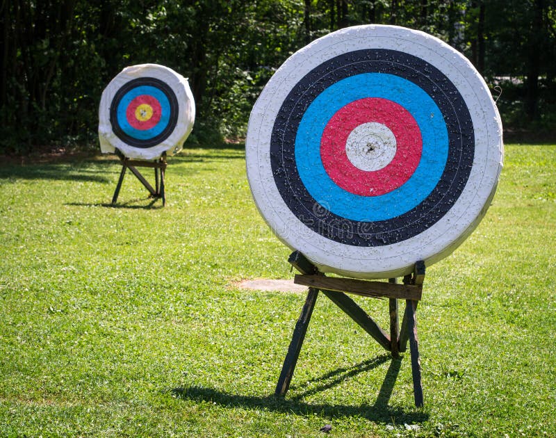 Tree Stump Target with Axe stock photo. Image of targets - 21516030