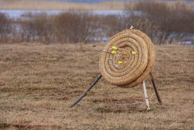 Target with arrows stock photo. Image of shoot, competitor - 26531272