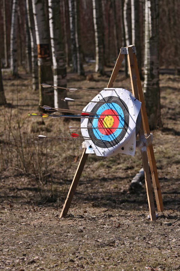 High Speed Arrow Flying through Blurred Bamboo Forest with Archery ...