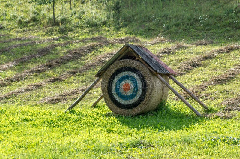 155 Hay Target Stock Photos - Free & Royalty-Free Stock Photos from ...