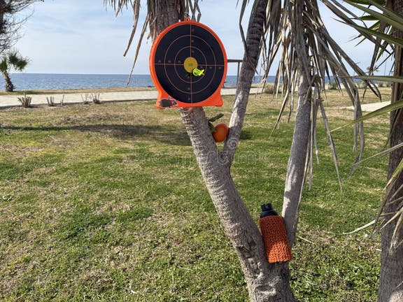 Target beach trees stock photo. Image of lagoon, adventure - 362131380