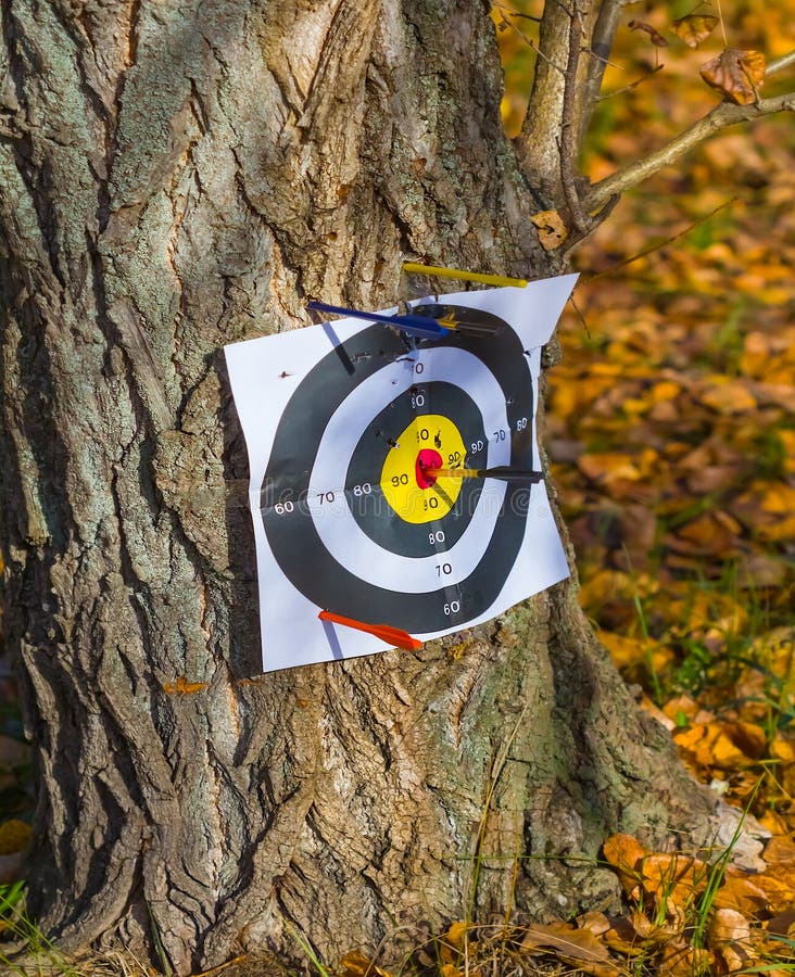 Target Hit by Crossbow Arrows Stock Image - Image of glade, stand ...