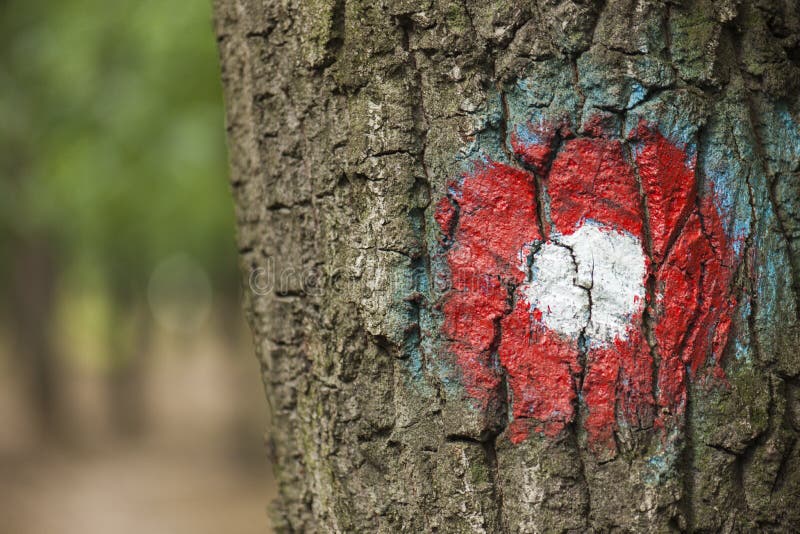 Target stock image. Image of targeting, competition, wood - 78141419