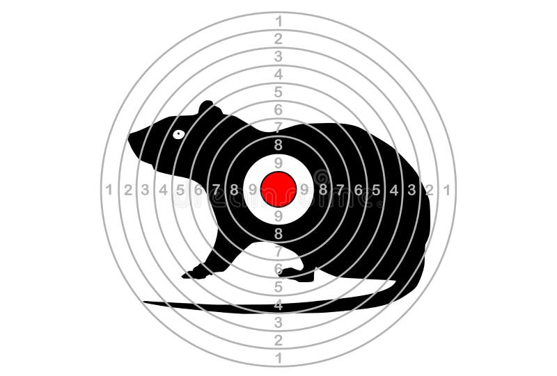 Target Shooting in the Center with a Mouse Vector. Stock Vector ...