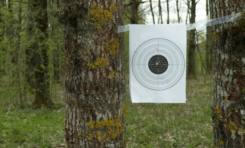 A Target for Shooting is Hanging on a Tree in the Forest Stock Image ...