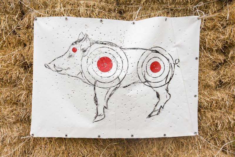 Paper Target Wild Boar Stock Photos - Free & Royalty-Free Stock Photos ...