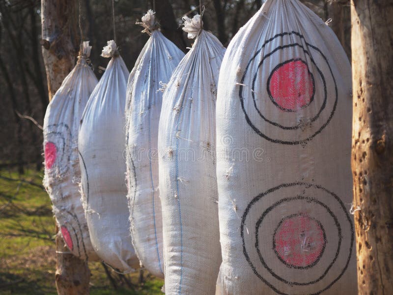 The Target for the Shooting. Stock Photo - Image of beam, archery: 51853792