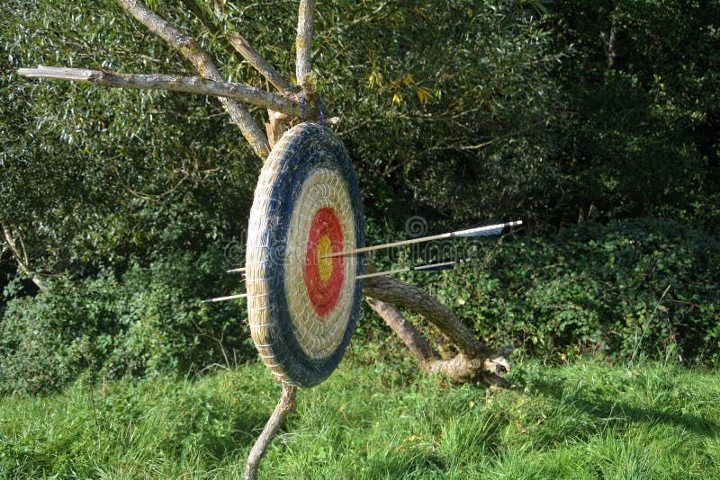 Target of Straw Hanging from the Old Tree Branch with Arrows through ...