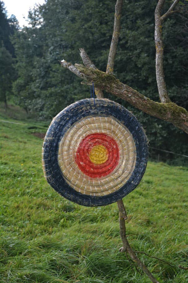 Target of Straw Hanging from the Old Tree Branch with Arrows through ...